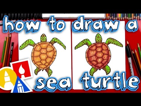 How To Draw A Turtle For Kids | 40 Easy Lessons on Drawing Turtles