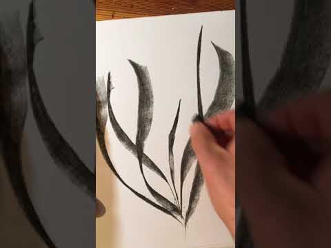 How to Draw Flowers Charcoal| 40 Easy Lessons on Drawing Charcoal Flowers