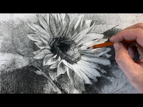 How to Draw Flowers Charcoal| 40 Easy Lessons on Drawing Charcoal Flowers