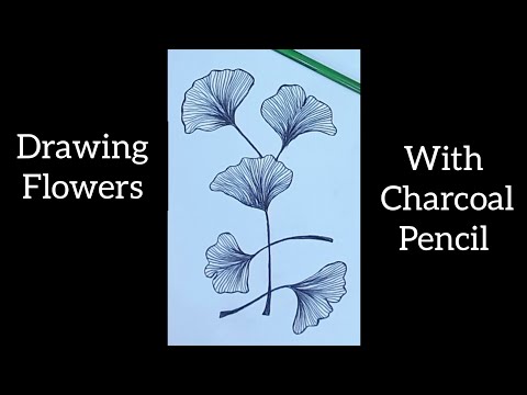 Charcoal Pencil Drawing Flowers
