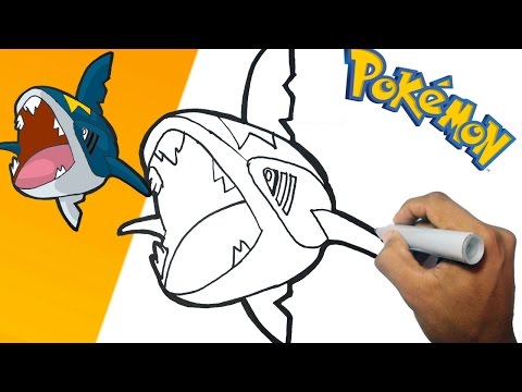 Sharpedo Drawing Tutorial: Detailed Step-by-Step Guide